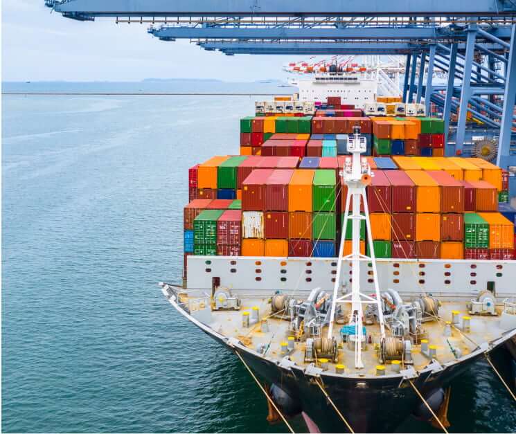 Resources and Downloads | Sayari